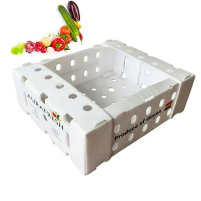 China PP Corrugated Plastic Box Coroplast Fruit Packaging Box Customized Foldable for sale