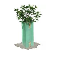 China Corflute Tree Guard Eco Friendly Corrugated Plastic Sheet Providing Protection For Young Trees Against Rodents And Chemical Sprays for sale