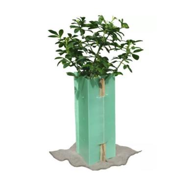 China Corflute Tree Guard Eco Friendly Corrugated Plastic Sheet Providing Protection For Young Trees Against Rodents And Chemical Sprays for sale