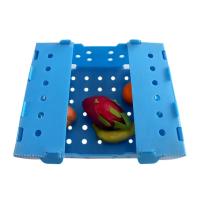 China PP Corrugated Plastic Box Corflute Fruit Packaging Box Customized Recyclable for sale