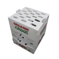 China Polypropylene Vegetable Packing Box PP Corrugated Plastic Box Customized Recyclable for sale
