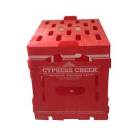China Polypropylene Vegetable Packing Box PP Corrugated Plastic Box Customized Recyclable for sale