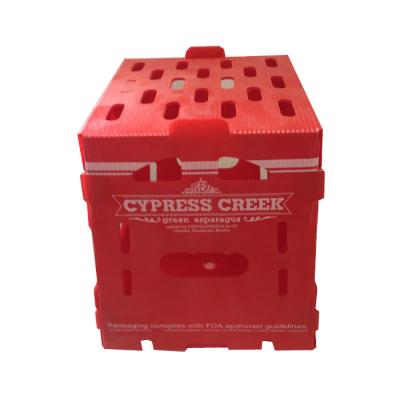 China Polypropylene Vegetable Packing Box PP Corrugated Plastic Box Customized Recyclable for sale