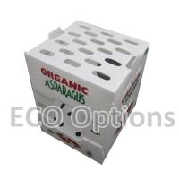 China Recycling PP Corrugated Plastic Box Coroplast Packaging Box Customized Foldable ECO for sale