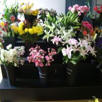 China Effortlessly Showcase Your Floral Arrangements with the Polypropylene Floral Display Stand Easy to Clean and Maintain for sale