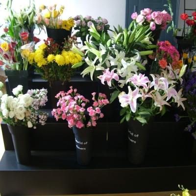 China Effortlessly Showcase Your Floral Arrangements with the Polypropylene Floral Display Stand Easy to Clean and Maintain for sale