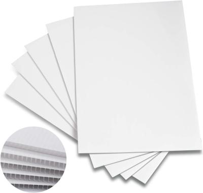 China Unleash the Potential of PP Coroplast Sheet in Your Packaging and Advertising for sale