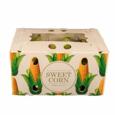 China Reusable Corrugated Plastic Box for Fruit Packaging for sale