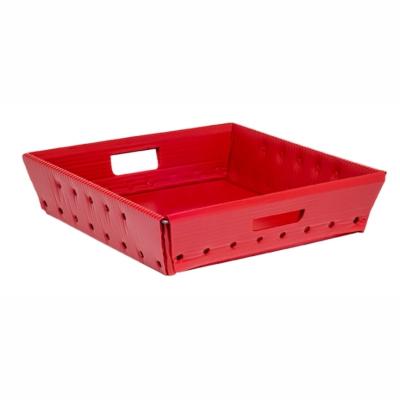 China Customizable Corrugated Plastic Trays – Durable, Reusable, and Environmentally Friendly for sale