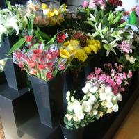 China Lightweight, durable display stands for retail, exhibitions, and promotions. Easy to transport, assemble, and reposition, offering stable, space-saving, and attractive product displays. for sale