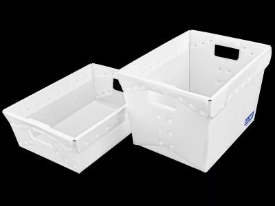 China Hollow Board Mail Tote: Lightweight, Durable and Reusable Returnable Logistics Container for Efficient Supply Chain Use for sale