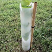 China PP plastic vine guard – Durable PP plant protection tube designed to shield young vines from wind, pests, and physical damage while promoting healthy growth in agricultural and forestry applications. for sale