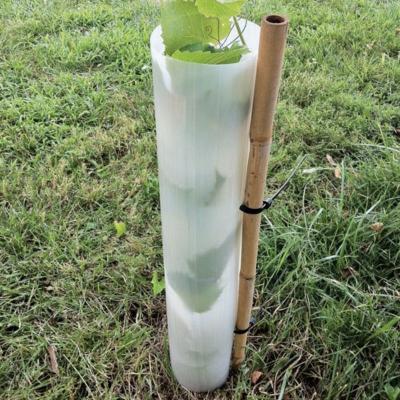 China PP plastic vine guard – Durable PP plant protection tube designed to shield young vines from wind, pests, and physical damage while promoting healthy growth in agricultural and forestry applications. for sale