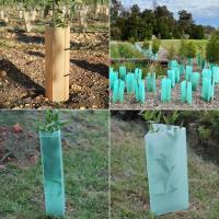 China PP plastic vine guard – Durable PP plant protection tube designed to shield young vines from wind, pests, and physical damage while promoting healthy growth in agricultural and forestry applications. for sale