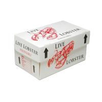 China Corrugated Plastic Box is made from durable polypropylene (PP) corrugated sheet. It is lightweight, waterproof, reusable, impact-resistant, and ideal for packaging and storage for sale