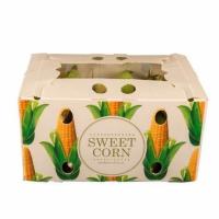 China vegetable and fruit packaging box with folding resistance, anti-aging, bearing strength, tensile, compression, tearing, high temperature, colorful features for sale