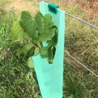 China PP Tree Guard is lightweight, durable, waterproof, and easy to install. It protects young trees from wind, animals, and damage, with customizable sizes, colors, thicknesses, and designs. for sale