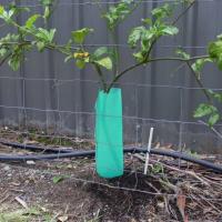 China Corflute Tree Guard is a durable outdoor protection solution designed to protect young grapevines from animals, wind, and other environmental factors. for sale