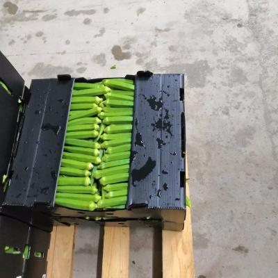 China Our Fruit Packaging Box is made from durable, lightweight PP corrugated plastic, providing excellent protection for fruits during storage and transportation. for sale
