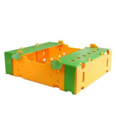 China Our Vegetable Packaging Boxes are made from PP material, offering excellent waterproof and corrosion-resistant performance, with no unpleasant odor, and are reusable for long-term use. for sale