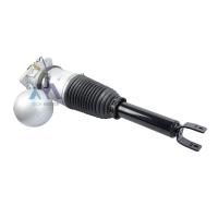 China Rear Air Suspension Shock For VW Phaeton 2002-2013 Air Suspension Shock Absorber 3D0616001 3D0616002 for sale