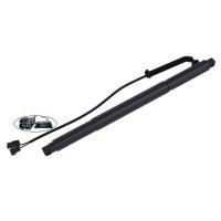 China 51247332698 51244887654 Driver Gate Shock For BMW X6 E71 Actuator Spindle Drive Tailgate for sale