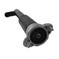 China W212 Shock Absorber 2123201530 2123201630 For Mercedes Rear Air Strut Repair Kits for sale