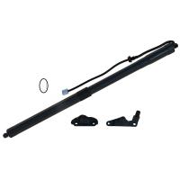China TS16949 Power Tailgate Pull Down Motor Strut For Toyota Highlander Trunk Hatch Power Lift 6891009120 for sale