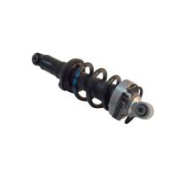 China Audi R8  Front Air Suspension Shock Absorber 420412019AG 420412020AG for sale