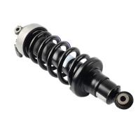 China Rear Hydraulic Air Suspension Shock Absorber Spring For Audi R8 420512019AL Auto Spare Parts for sale