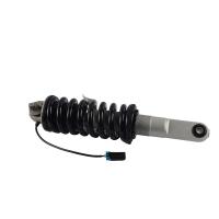 China Brand New Pneumatic Air Suspension Shock Fits For Ferrari F430 F360 Oem 212543 224339 174724 Rear Air Strut for sale