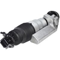 China A2403201013 Front Left Right Air Shock Strut For Maybach 57 Maybach 62 W240 New for sale