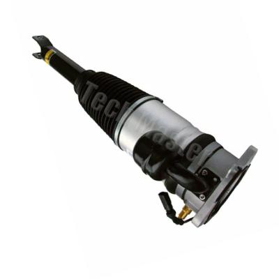 China Bentley Flying Spur 02-17 3w Rear Right Suspension Strut 3W5616002B Brand New for sale