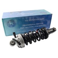 China Air Suspension Shock Strut Absorber Audi R8 Rear With ADS 420512019AL 420512020AL for sale