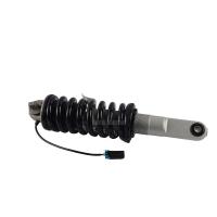 China Ferrari 430 360 Rear Shock Absorber Coil Strut Assembly 2005-2009 212543 224339 174724 for sale