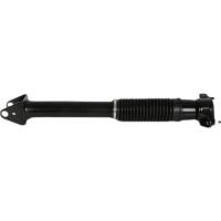China 1643202431 A1643201631 Cab Air Shock Absorber W164 Rear Airmatic Shock for sale