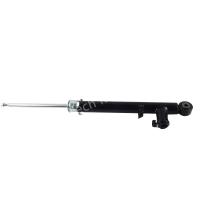 China Rear Adjustable Air Suspension Coilover Kit Honda Avancier 2017- 51611THBH01 51621THBH01 52610THBH01 for sale