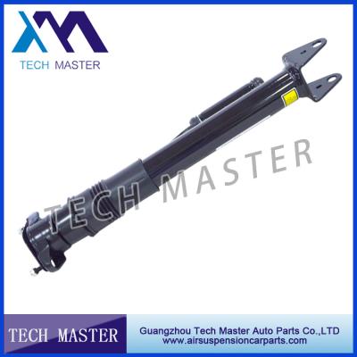 China 2513201931 Mercedes-benz Air Suspension Parts Air Shock Absorber For Mercedes W251/R300 R-Class Rear 2006-2010 for sale