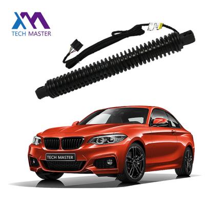 China BMW Liftgate Lift Support For 7X0LI F02 51247185713 Auto Gas Spring Rear for sale