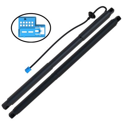 China Auto Electric Power Tailgate Lift For W166 Passenger Gate Shock 1668901130 1668900000 for sale