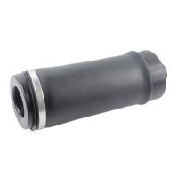 China Auto Parts Rear Right or Left Air Suspension Springs Fit For Jeep Grand Cherokee 68029912AE for sale