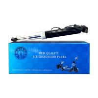 China Customized Lincoln MKT Rear Shock Absorber for sale