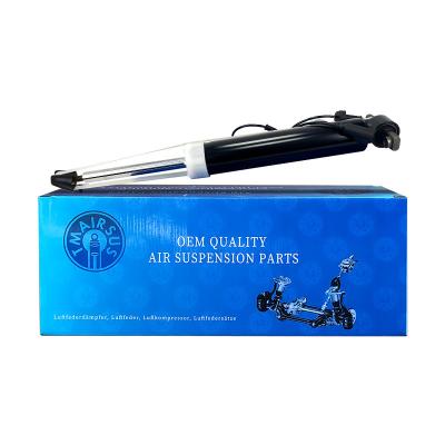 China Customized Lincoln MKT Rear Shock Absorber for sale
