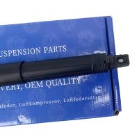 China Power Lift Gate for X6 E71 2007-2014 Rear Left Or Right Location 51244887654 51244887653 51247332697 for sale
