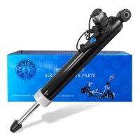 China Lincoln MKC Air Suspension Shocks for Rear Left Right Automobile Shock Absorbers for sale