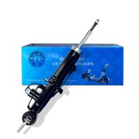 China JL1Z18124A JL1Z18124C OEM Lincoln MKC Shock Absorber Front Air Suspension Strut for sale