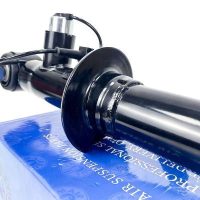 China Lincoln Navigator 2018- Ford EXPEDITION Air Suspension Shock OEM JL1Z18124A JL1Z18124C for sale