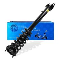 China Tesla Model S Performance Front Coil Spring Shock for sale