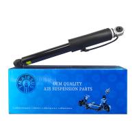 China OEM Standard Yes Surface Finish Car Air Shock Absorber For Standards for sale