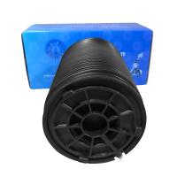 China Air Spring for Ford Tourneo Custom Rear Suspension for sale